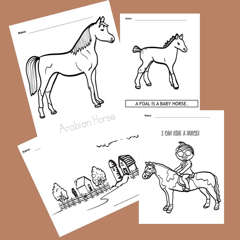 Printable Horses and Ponies Unit Study Worksheets and | Etsy