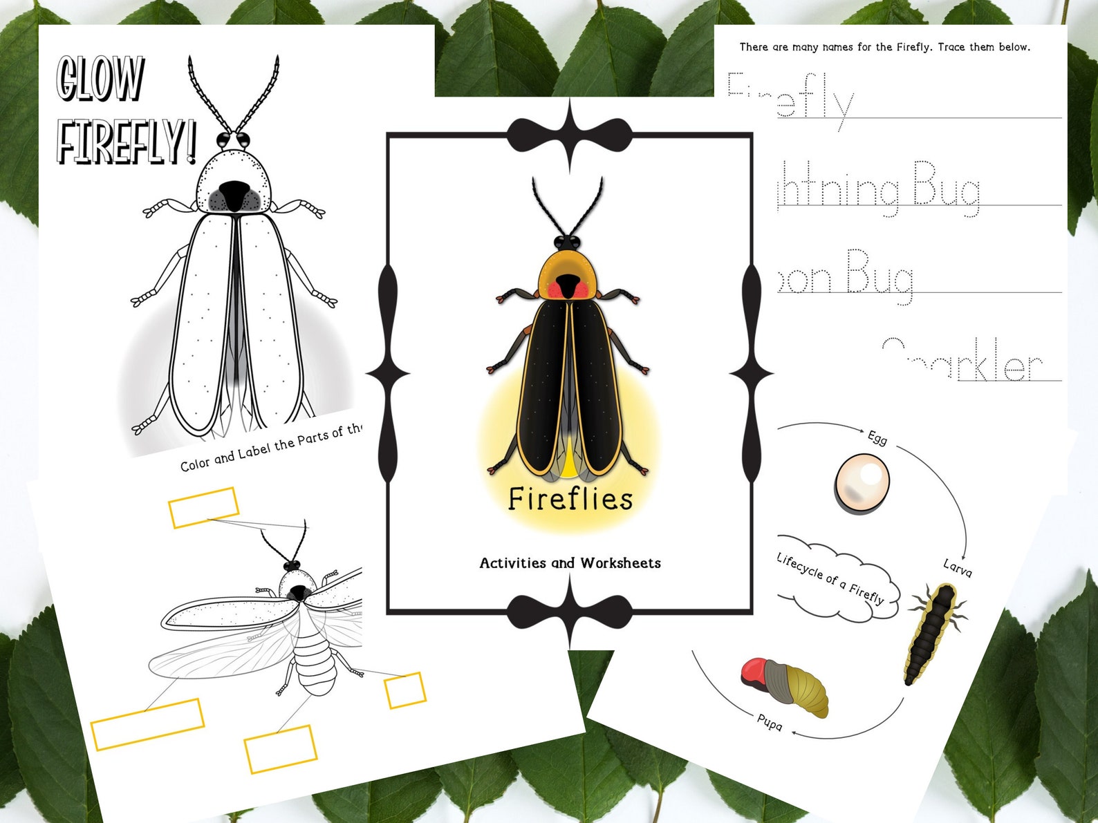 Printable Firefly Unit Study, Summer Learning Activities Lightning Bug ...