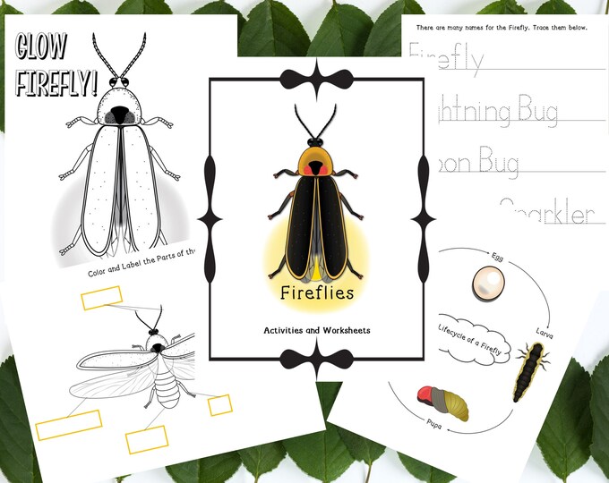 Printable Frogs and Tadpoles Literature-based Unit Study, Frog Life ...