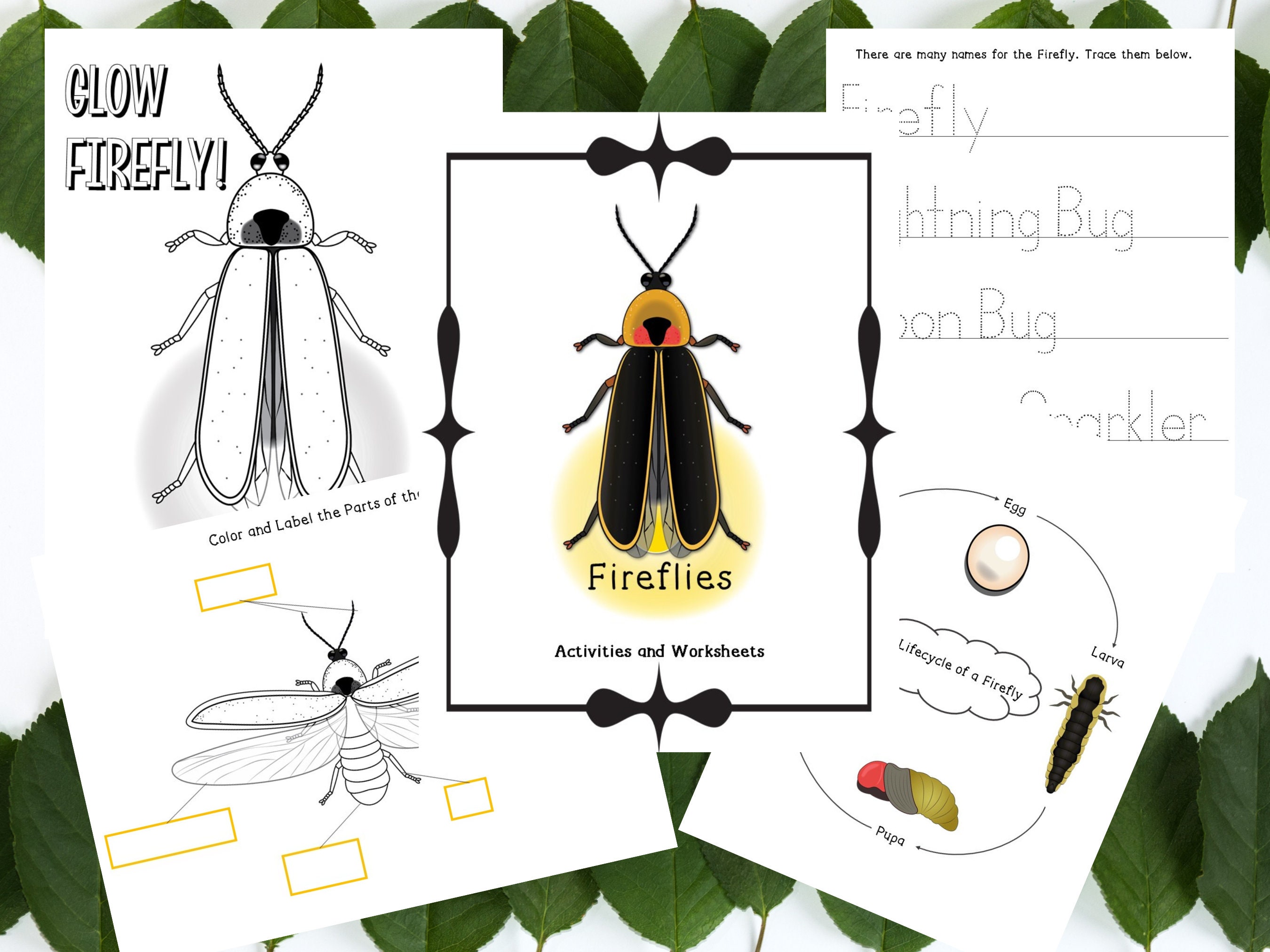 Printable Firefly Unit Study, Summer Learning Activities Lightning Bug ...