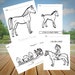 Printable Horses and Ponies Unit Study, Literature-based Unit Study ...