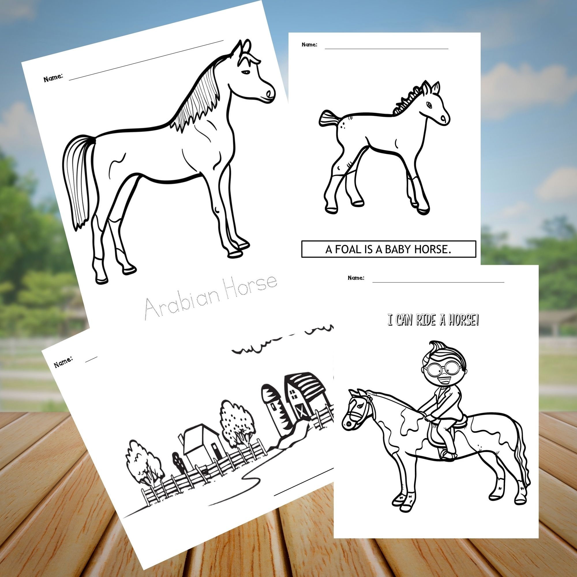 Printable Horses and Ponies Unit Study, Literature-based Unit Study ...