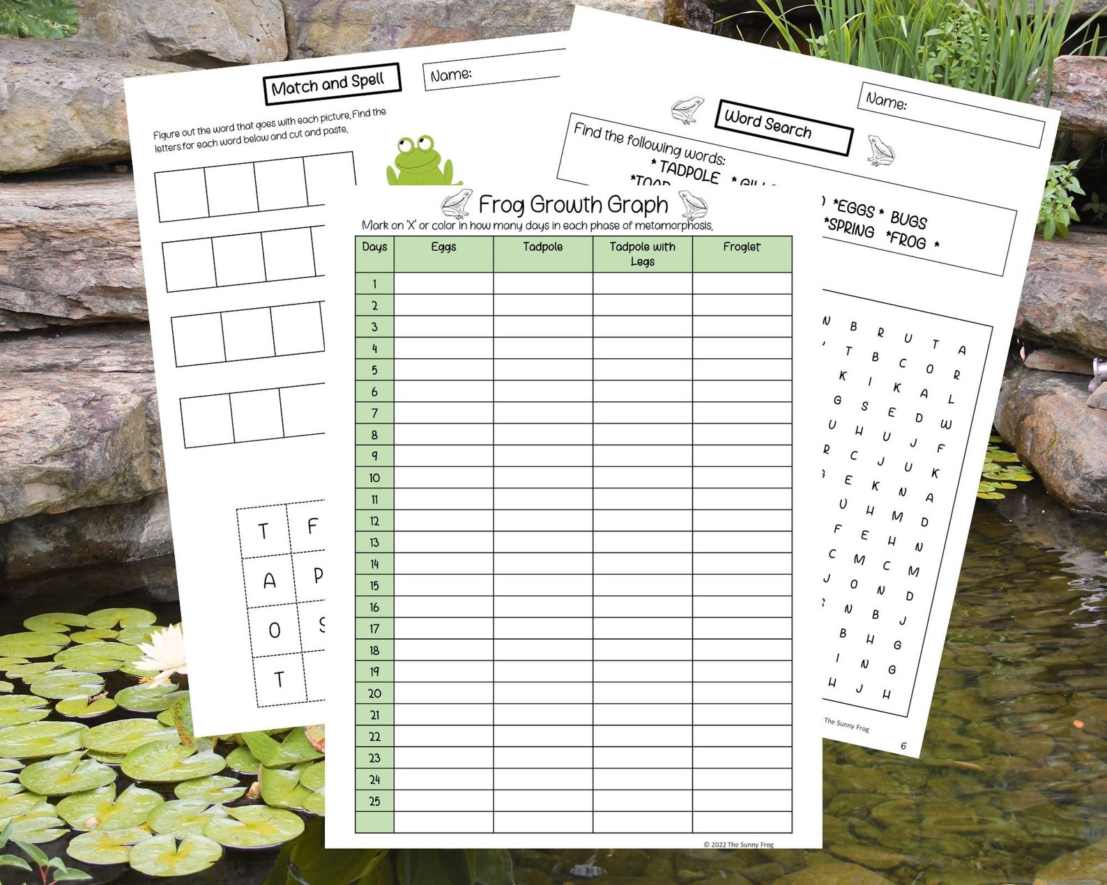 Printable Frogs and Tadpoles Literature-based Unit Study, Frog Life ...