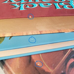 Black Beauty King of the Wind Horse and Pony Stories - Lot of 3 - Etsy