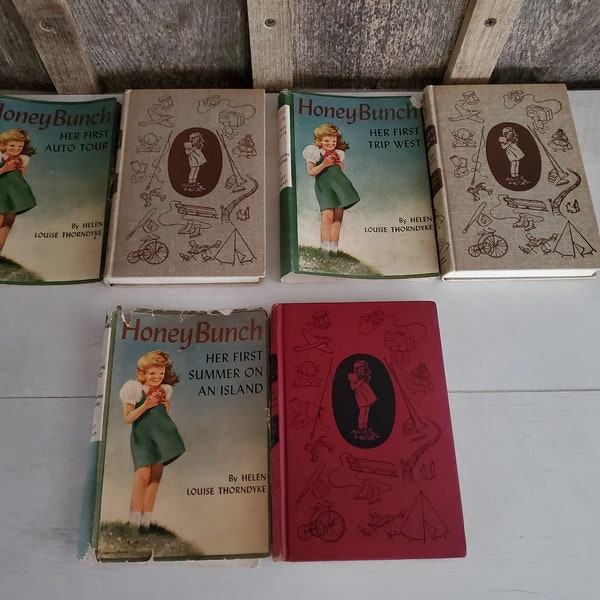 Honey Bunch Book - Etsy