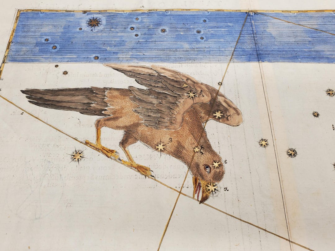 Antique Star Chart Corvus Johann Bayer Celestial Map - Etsy