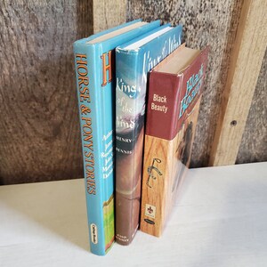 Black Beauty King of the Wind Horse and Pony Stories - Lot of 3 - Etsy