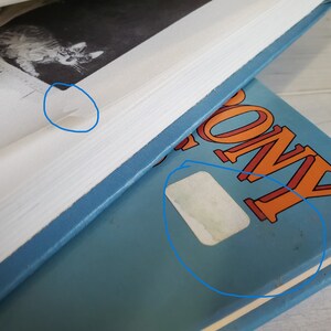 Black Beauty King of the Wind Horse and Pony Stories - Lot of 3 - Etsy