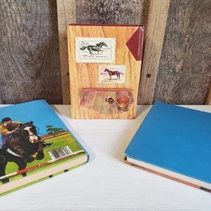 Black Beauty King of the Wind Horse and Pony Stories - Lot of 3 - Etsy