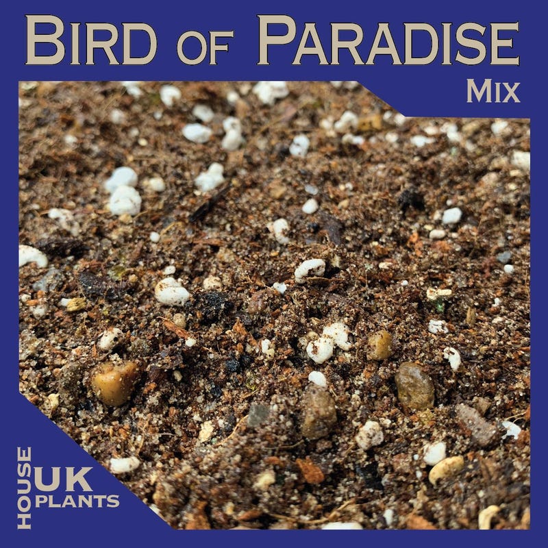 Indoor Plant Pots Birds - Etsy UK