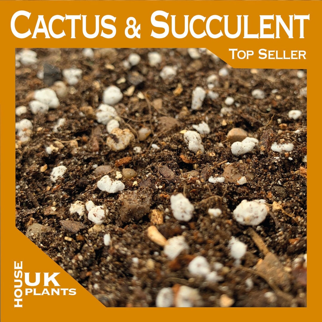 CACTUS & SUCCULENT Repotting Compost Soil Mix (echeveria Sedum Aloe ...