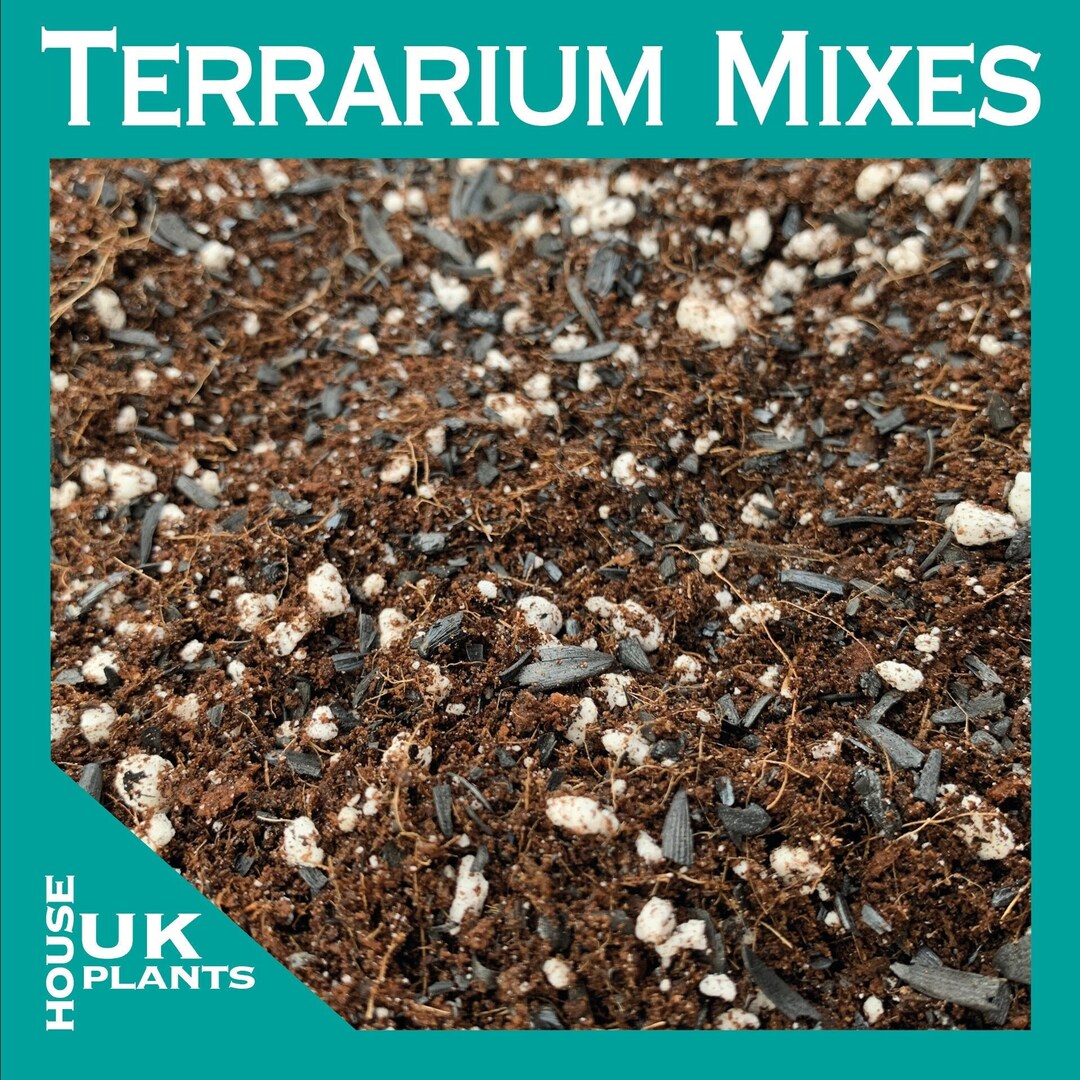 TERRARIUM Potting Soil Mix (for Tropical, Bioactive, Cactus/desert/arid ...