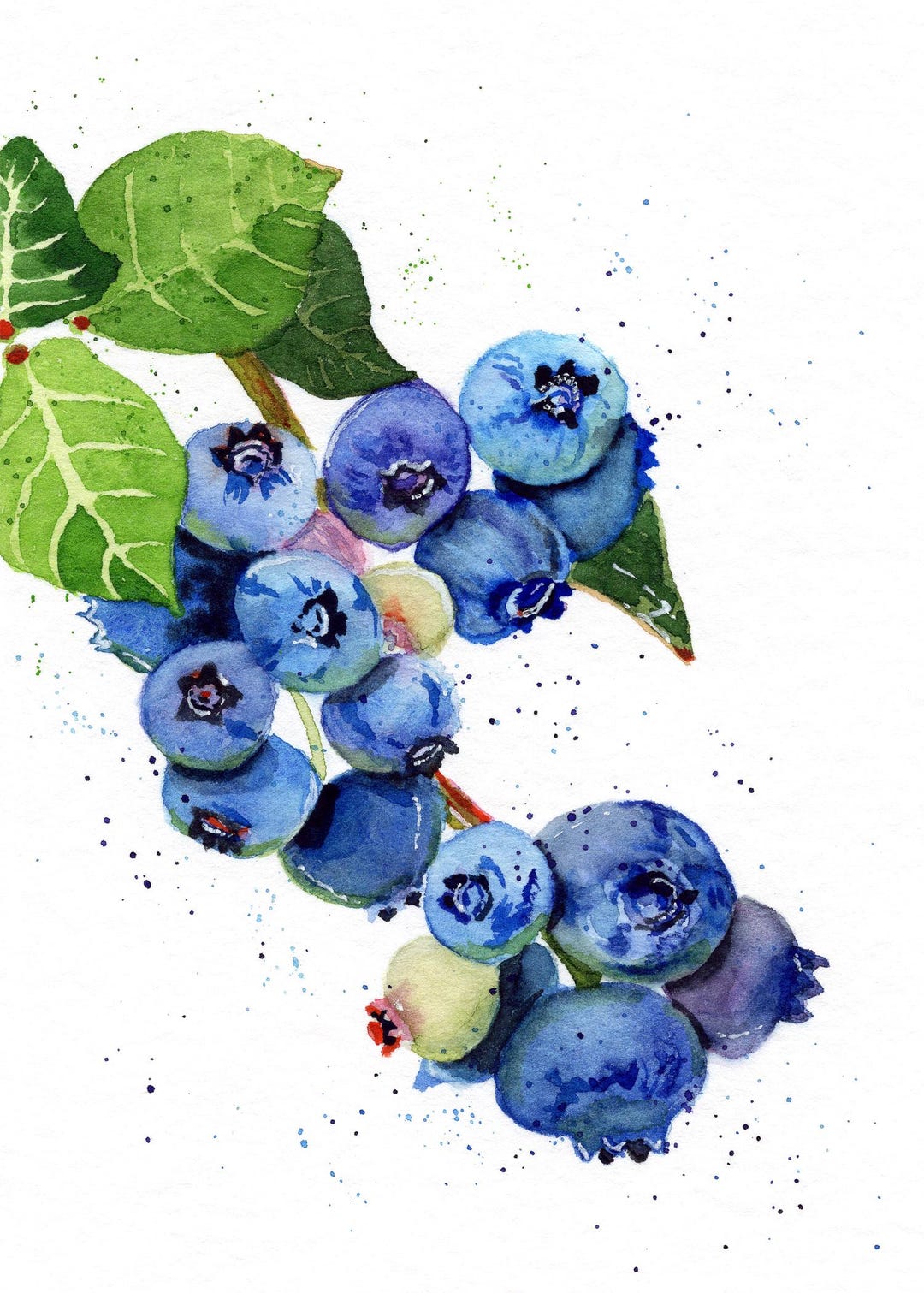 Blueberries Watercolor Art Print - Etsy