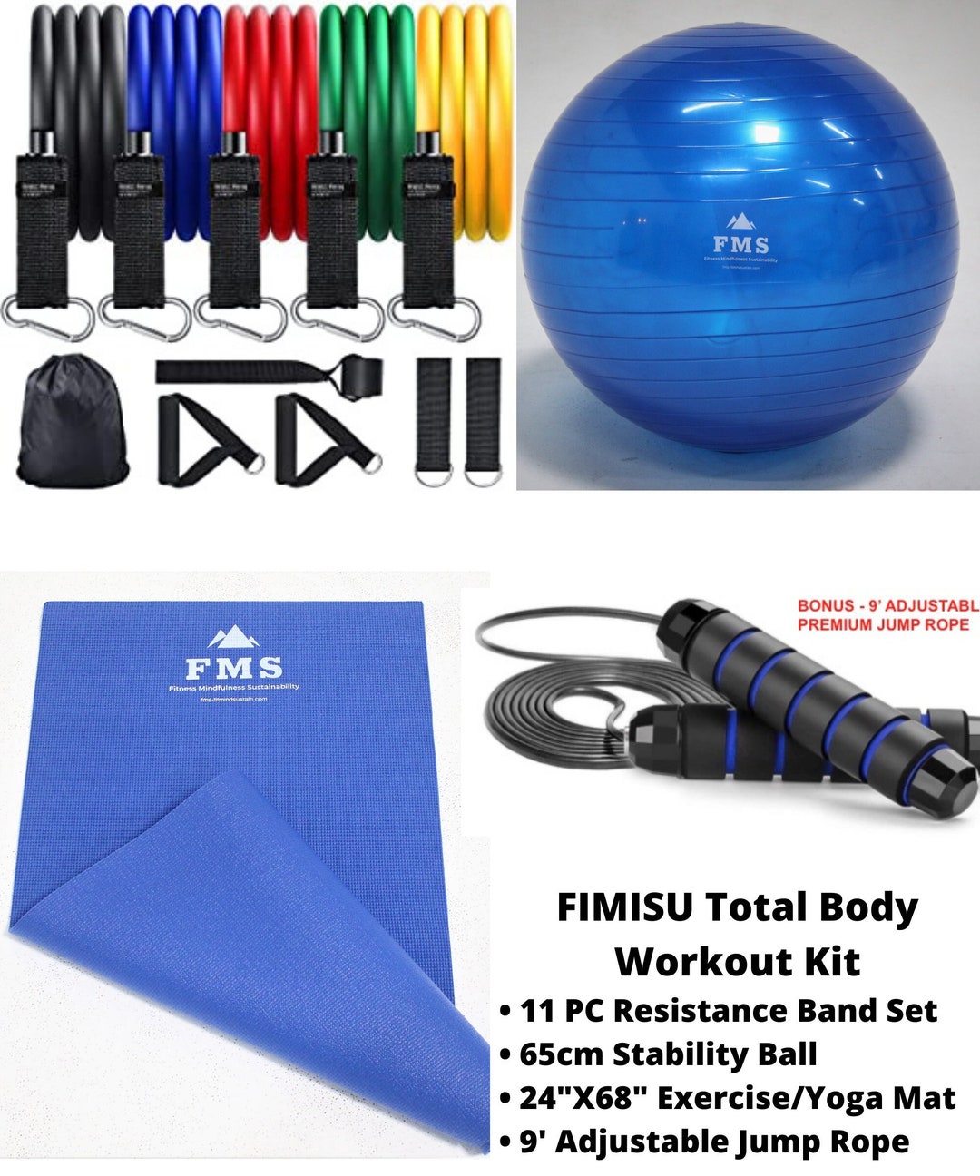 Total Body Workout Kit 11 Piece Resistance Band Set, 65cm Stability ...