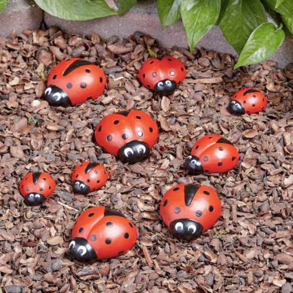 Ladybug Decor - Etsy
