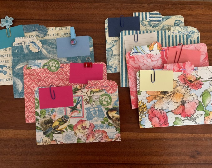 Birdwatching Mini File Folders, Mini File Folders, File Folders ...