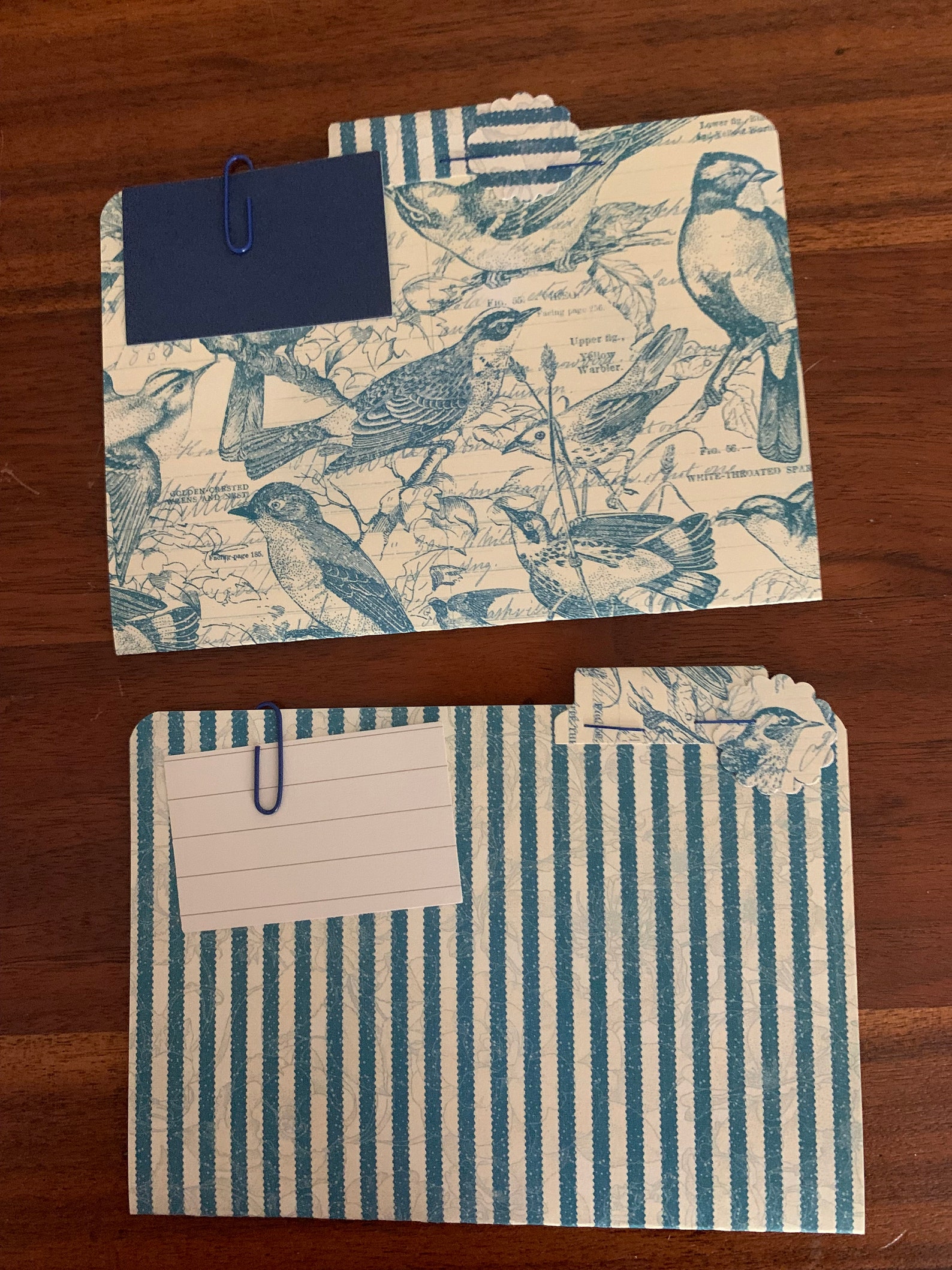 Birdwatching Mini File Folders Mini File Folders File - Etsy