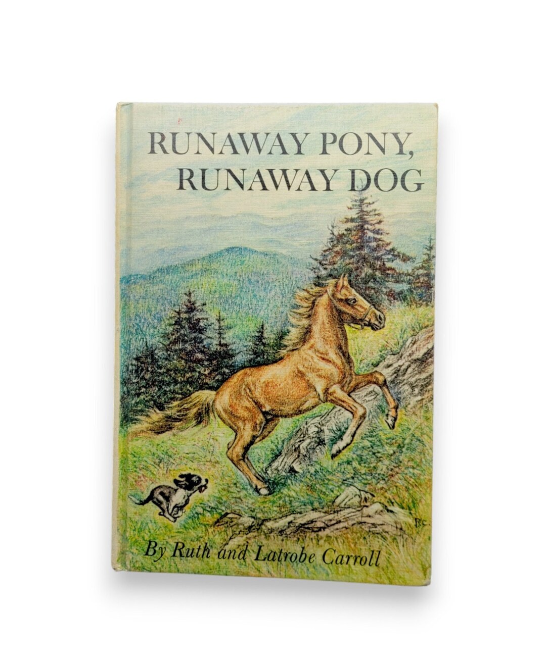 Runaway Pony, Runaway Dog by Ruth & Latrobe Carroll 1963 - Etsy
