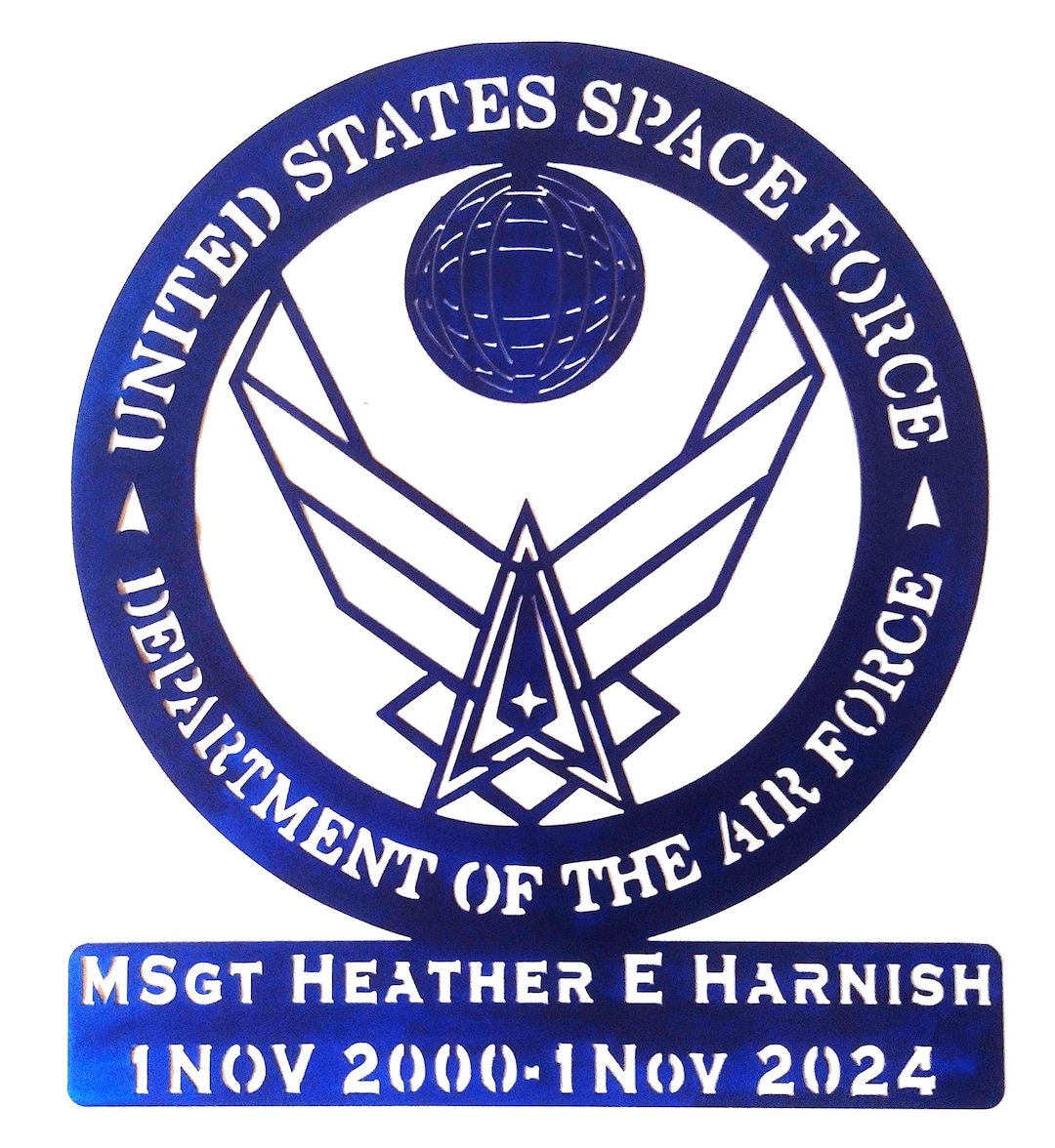 Space Force Insignia With Nameplate - Etsy