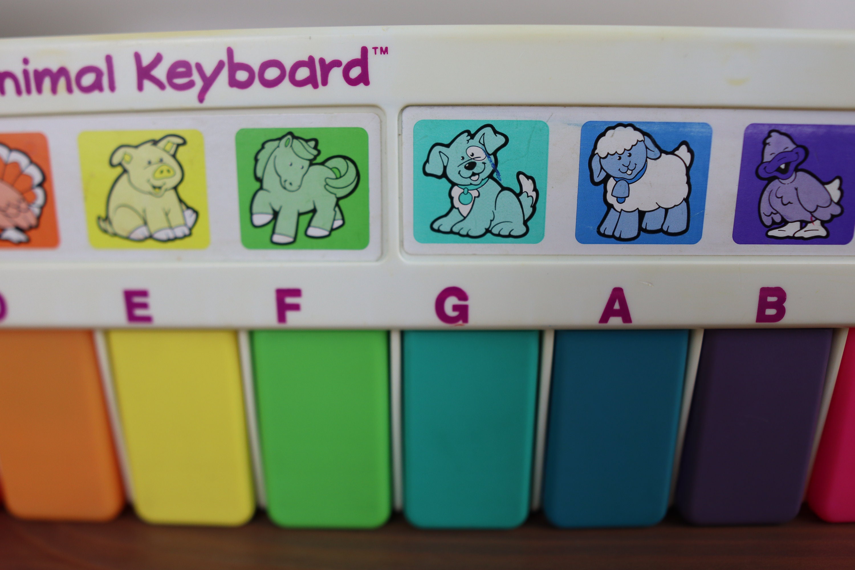 Rare Vintage 1990 Playskool Barney's Animal Keyboard With - Etsy