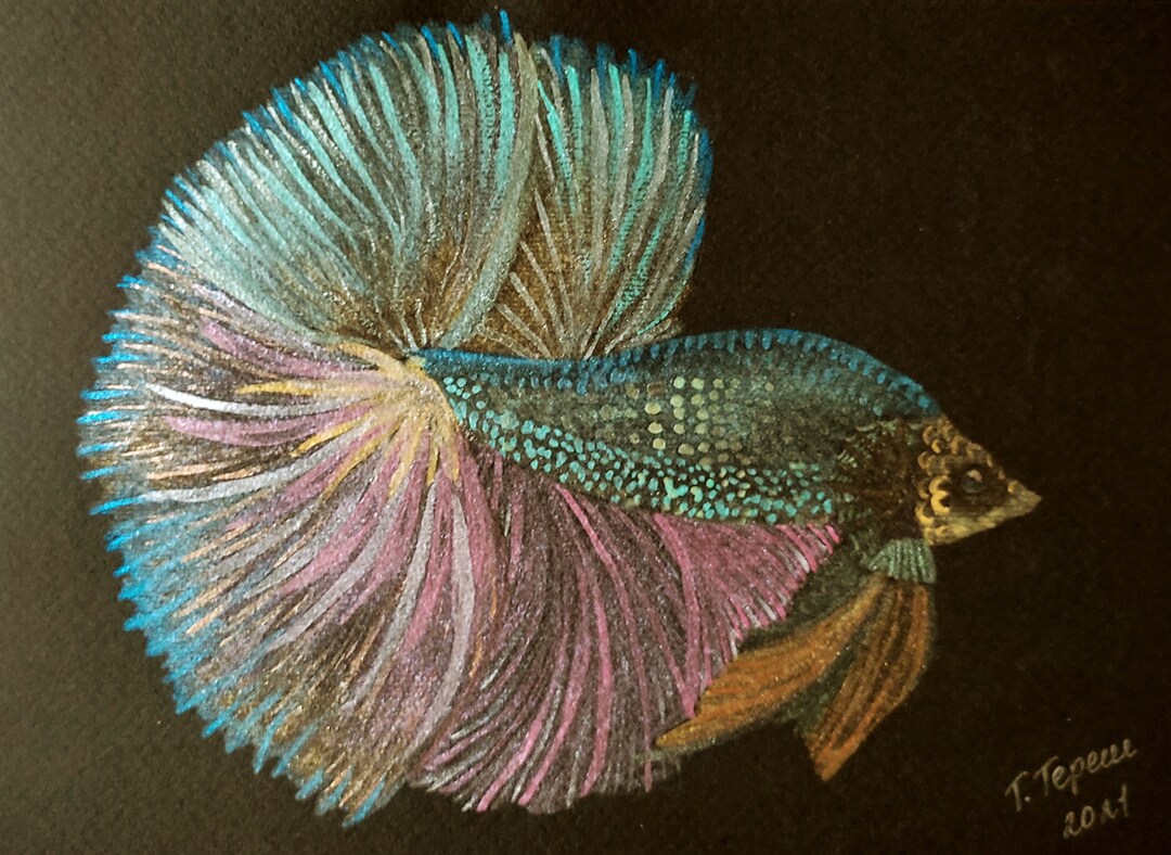 Betta Fish Painting Fish Original Watercolor Art Animal Artwork ...