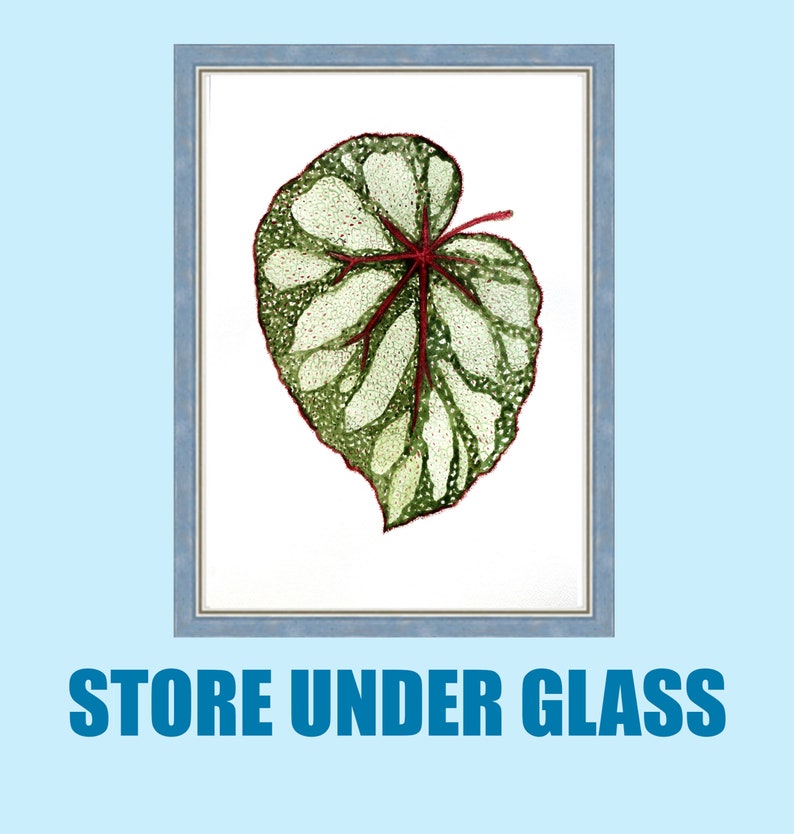 Leaf Painting Begonia Original Watercolor Art Botanical Illustration ...