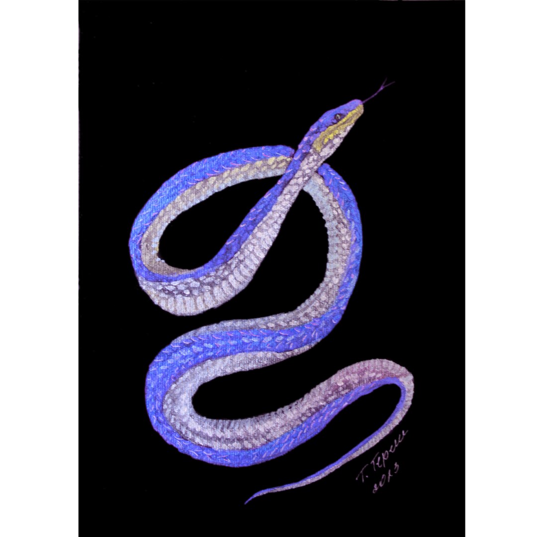 Snake Painting Reptiles Original Watercolor Art Animal Artwork Metallic ...