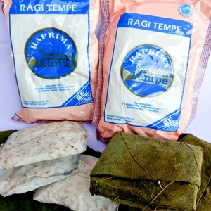 Tempeh Starter - Etsy