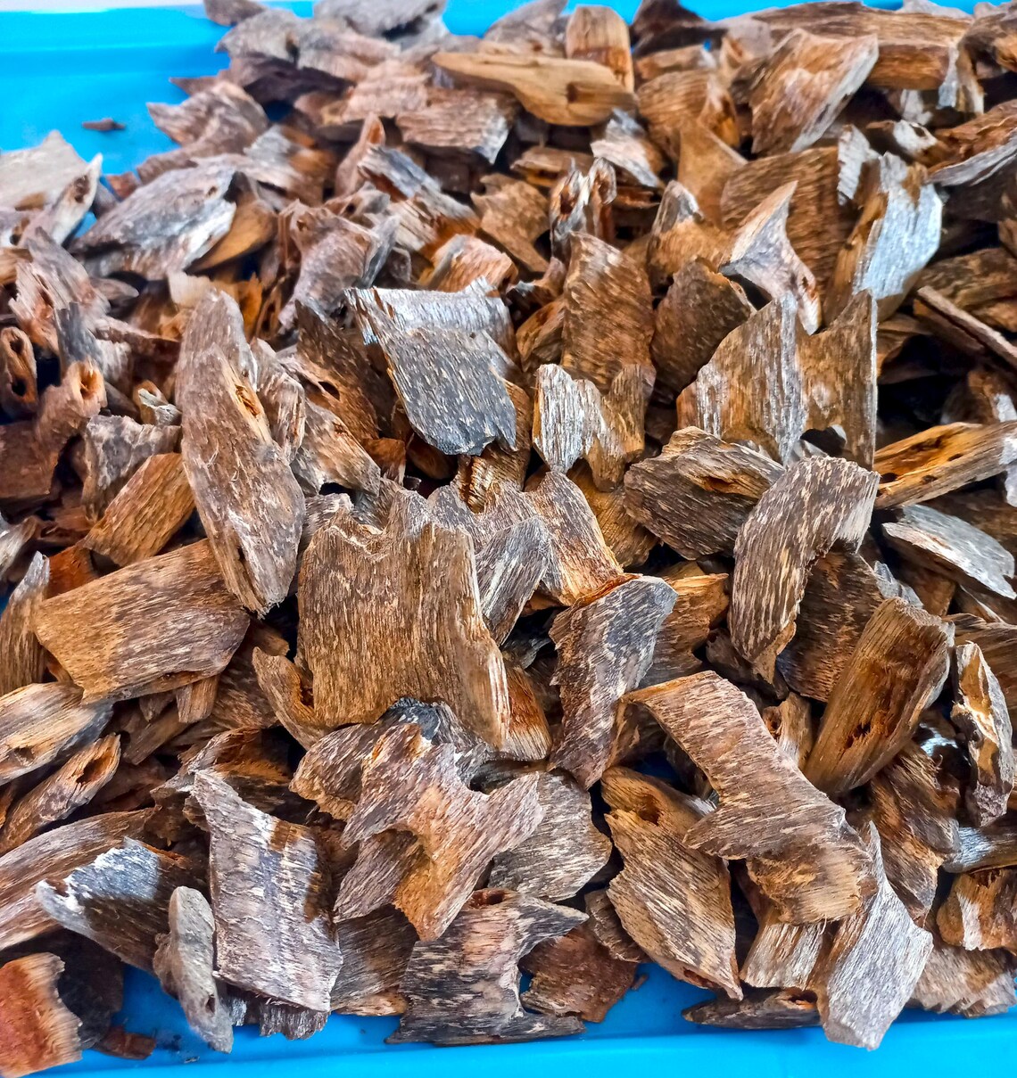 Gyrinops Versteegii Agarwood Chips Sumbawa Indonesia Incense Oud ...
