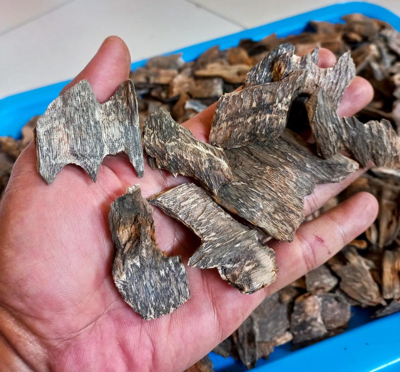 Gyrinops Versteegii Agarwood Chips Sumbawa Indonesia Incense Oud ...
