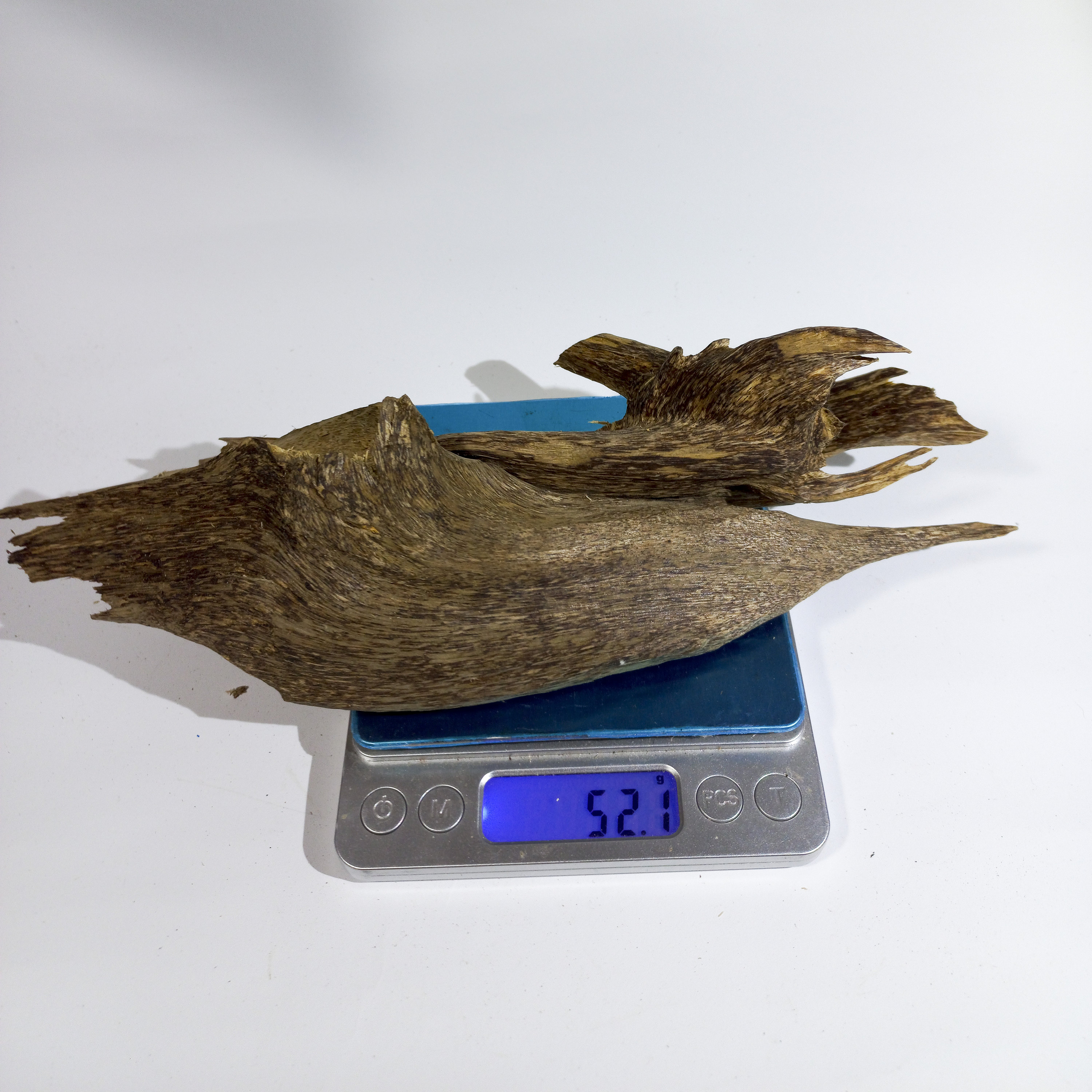 Limited Agarwood Chips Aquilaria Malaccensis Kalimantan Oud Wild Borneo ...