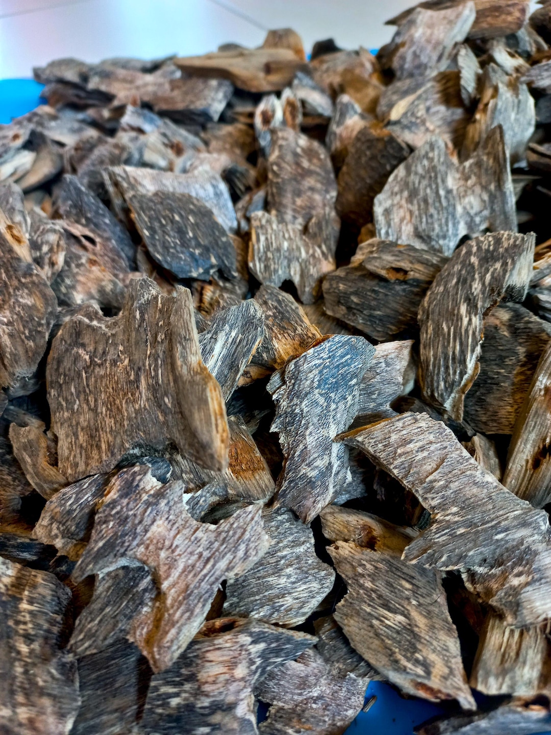Gyrinops Versteegii Agarwood Chips Sumbawa Indonesia Incense Oud ...