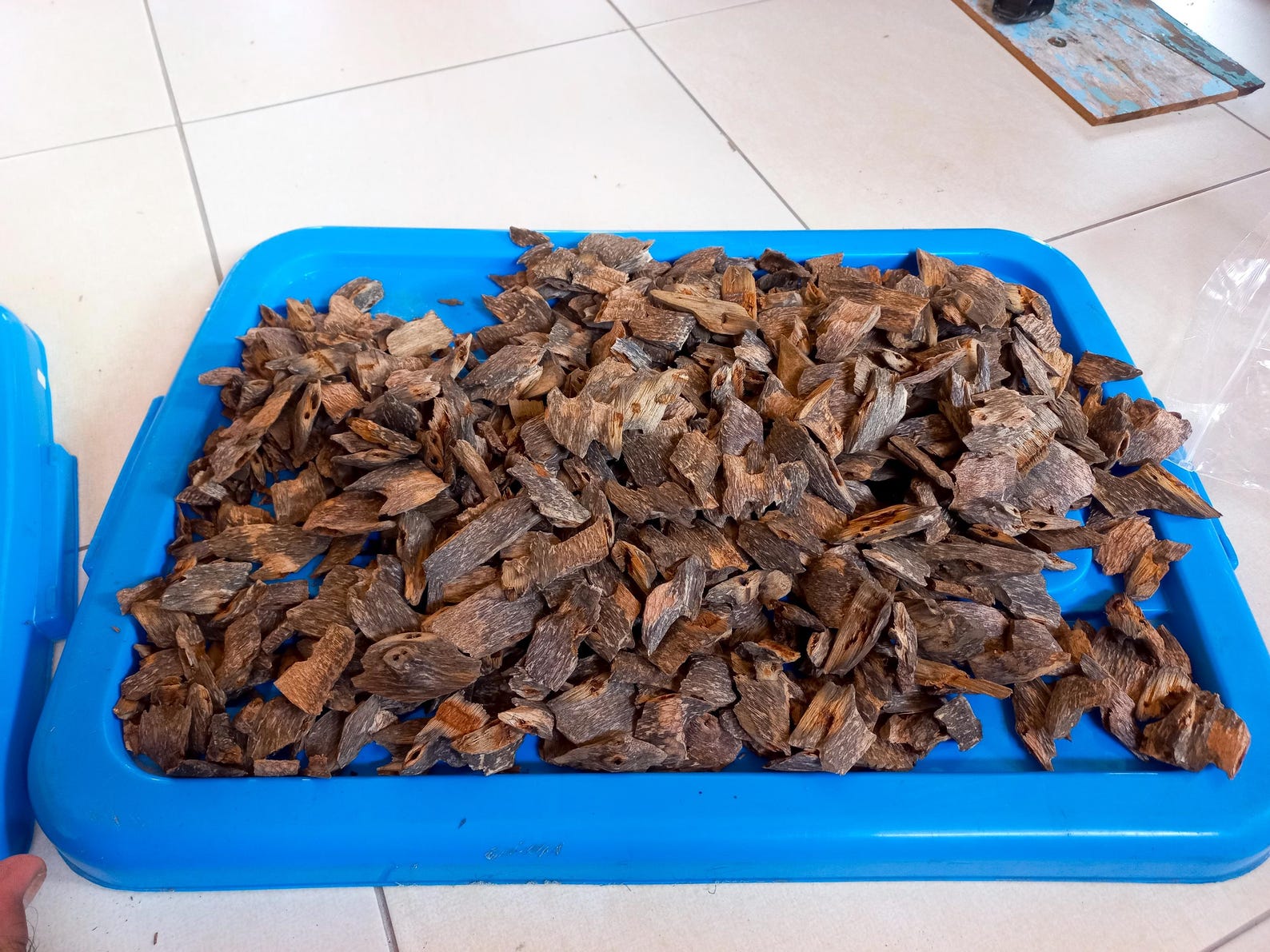 Gyrinops Versteegii Agarwood Chips Sumbawa Indonesia Incense Oud ...