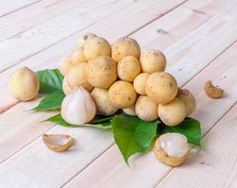 Langsat Lansium Parasiticum Domesticum Lanzones Duku Tropical Fruit ...