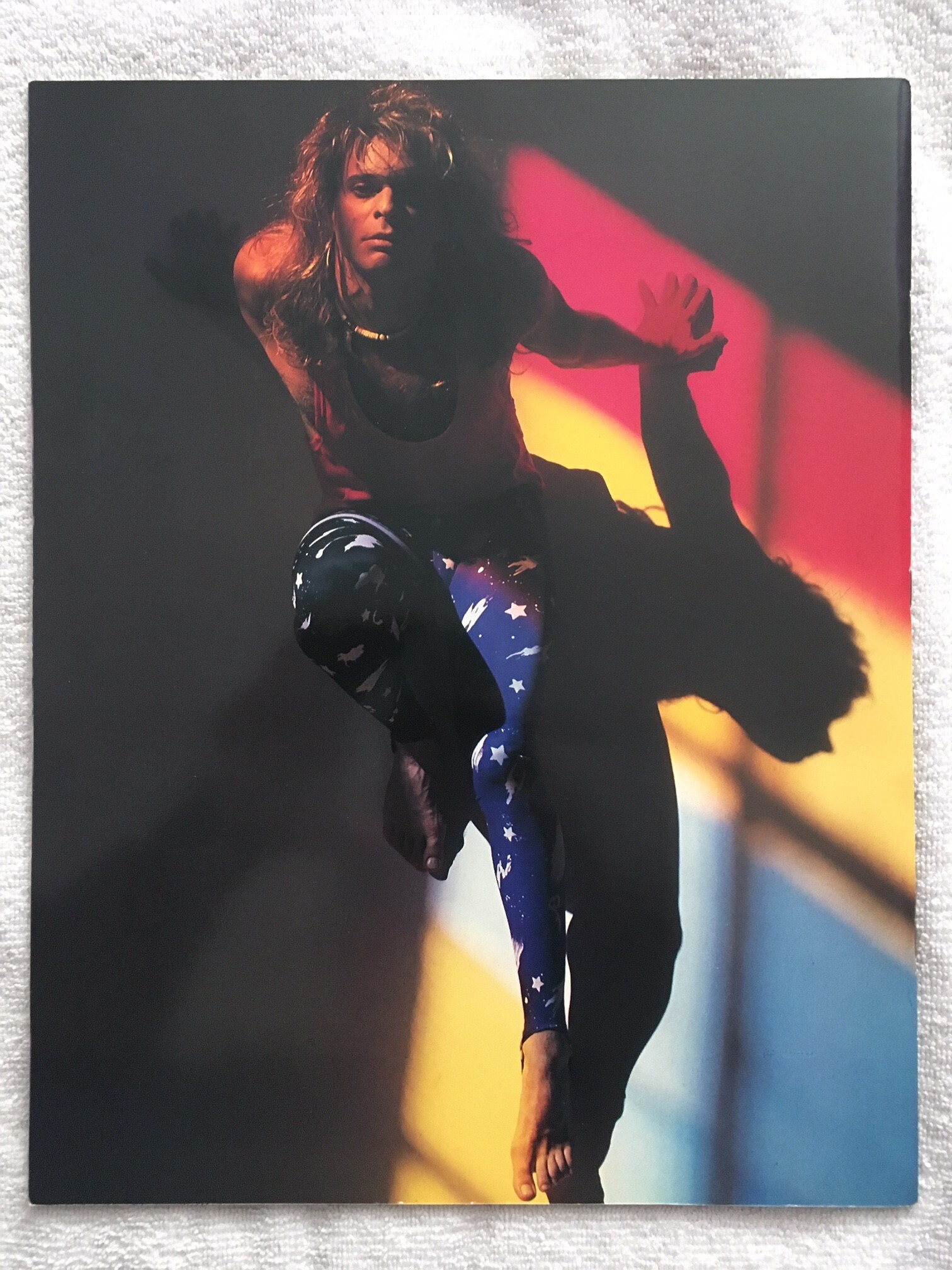 Vintage - DAVID LEE ROTH - the World Tour 1986 - Tour Program ( Tour ...