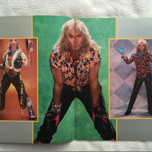 Vintage - DAVID LEE ROTH - Skyscraper Tour 1988 - Tour Program ( Tour ...