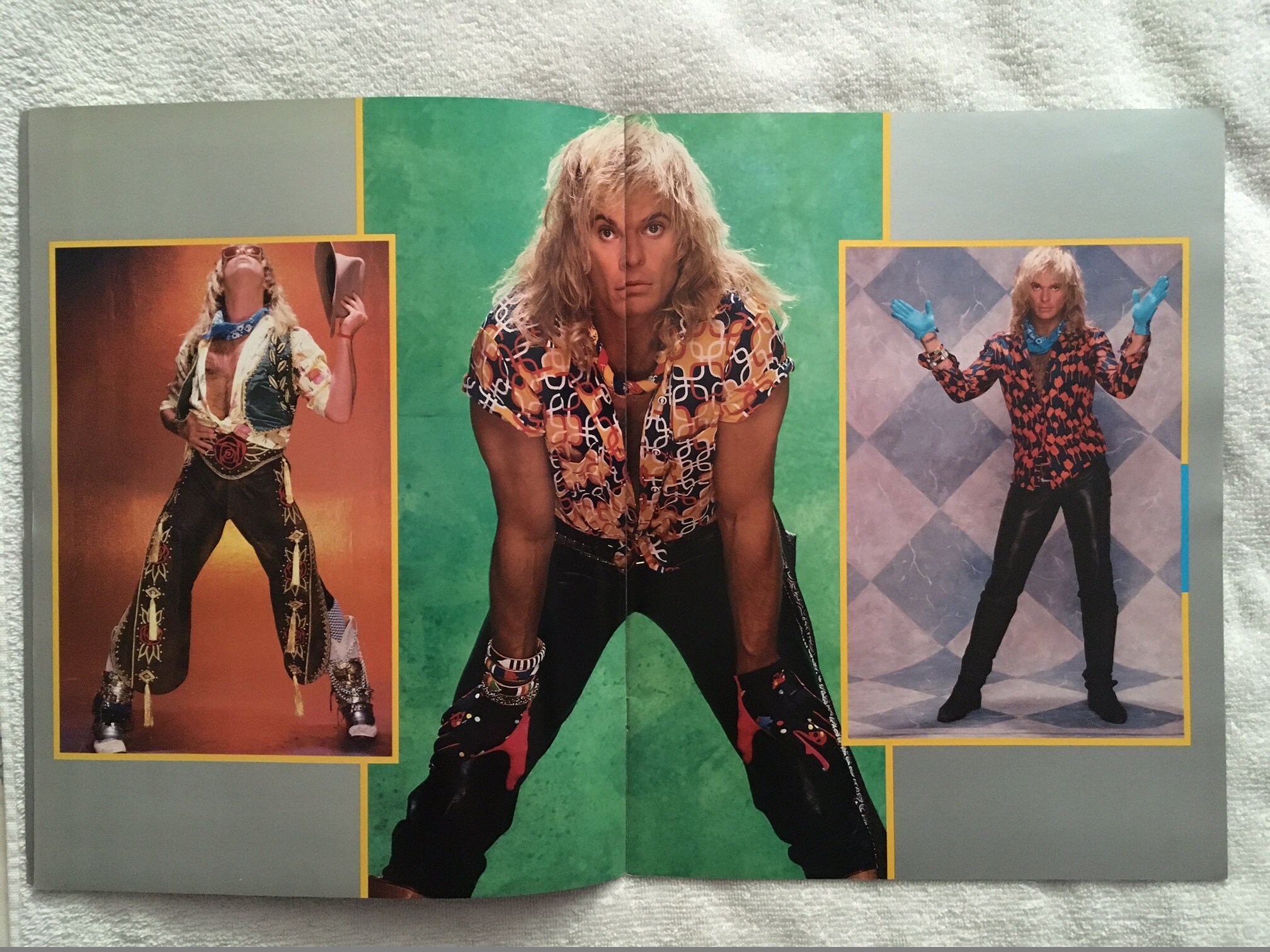 Vintage DAVID LEE ROTH Skyscraper Tour 1988 Tour Program Tour Book ...