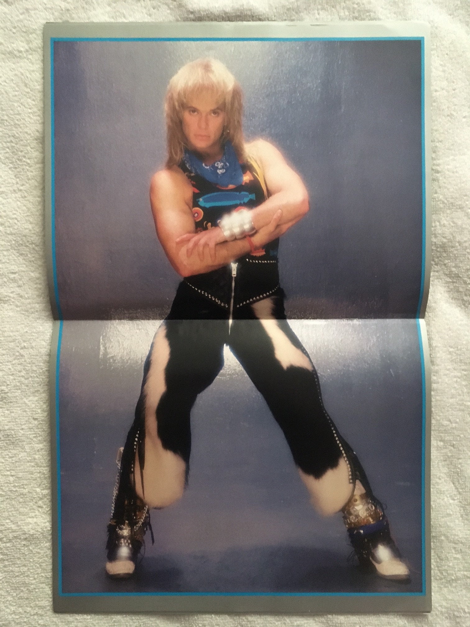 Vintage DAVID LEE ROTH Skyscraper Tour 1988 Tour Program Tour Book ...