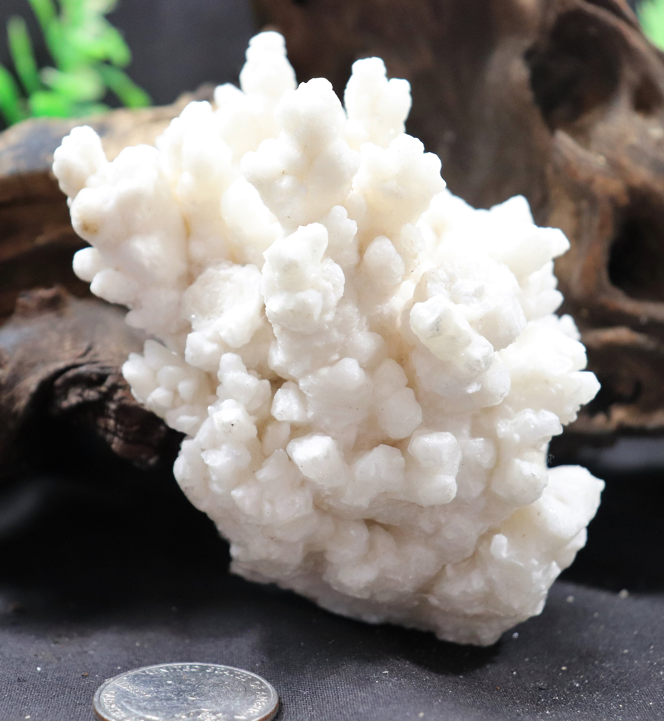 Stalactite Quartz - Etsy