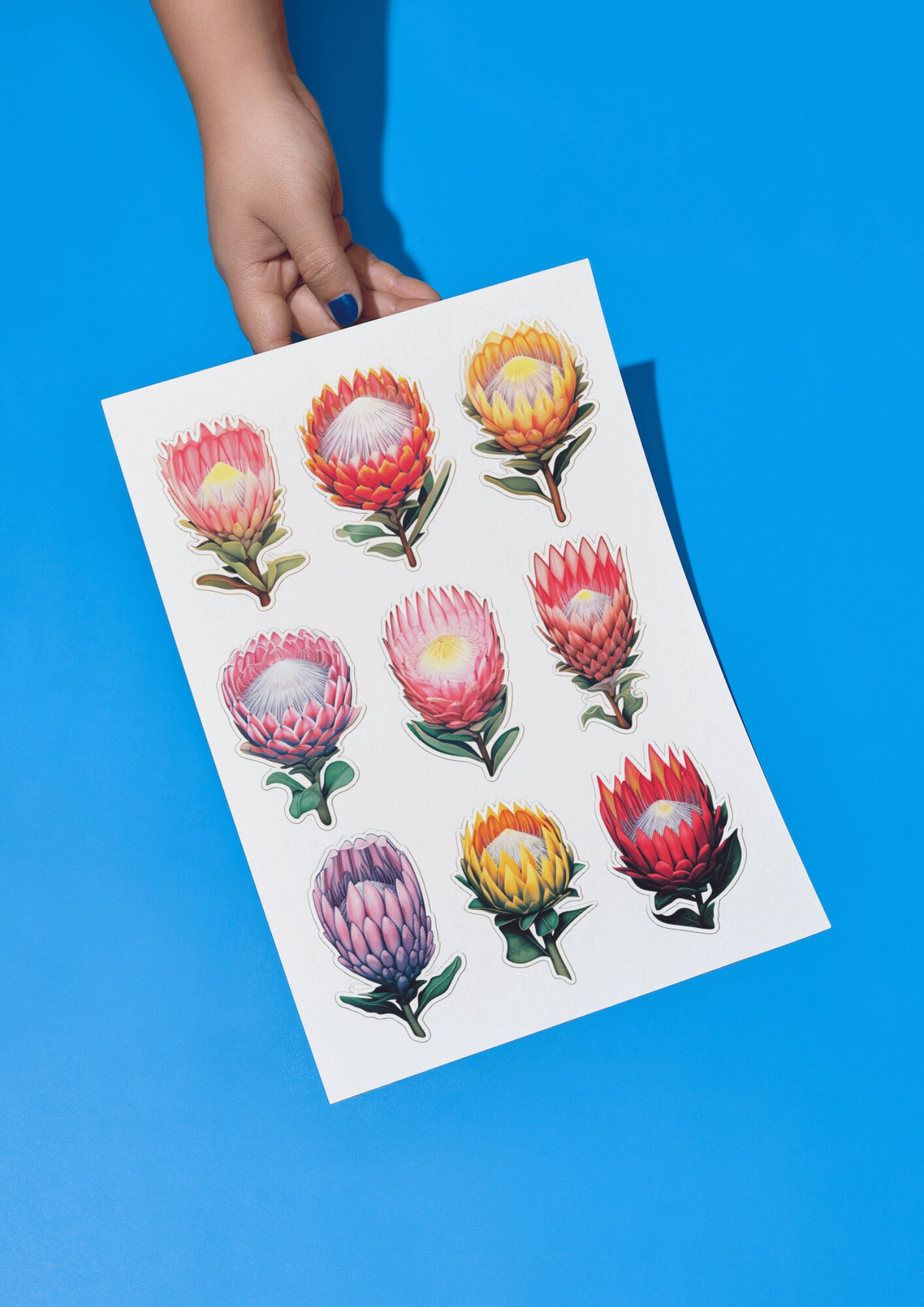 9 Printable Protea Stickers on A4. Instant Download for - Etsy