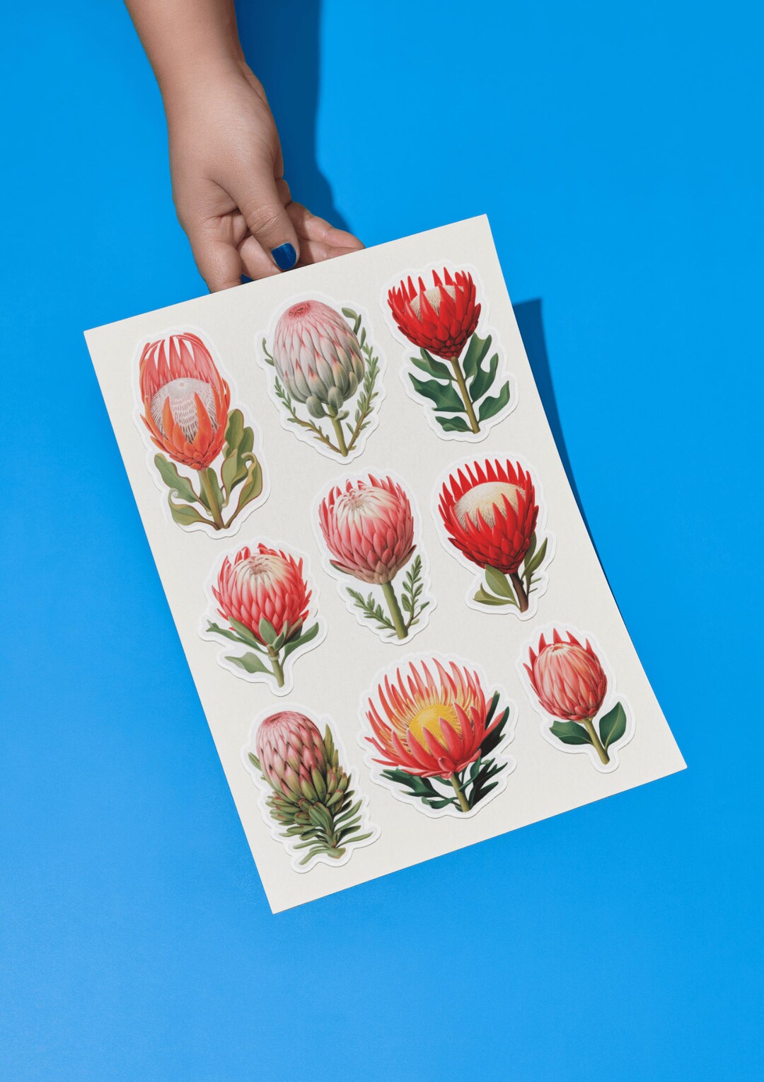 9 Printable Protea Stickers on A4. Instant Download for - Etsy