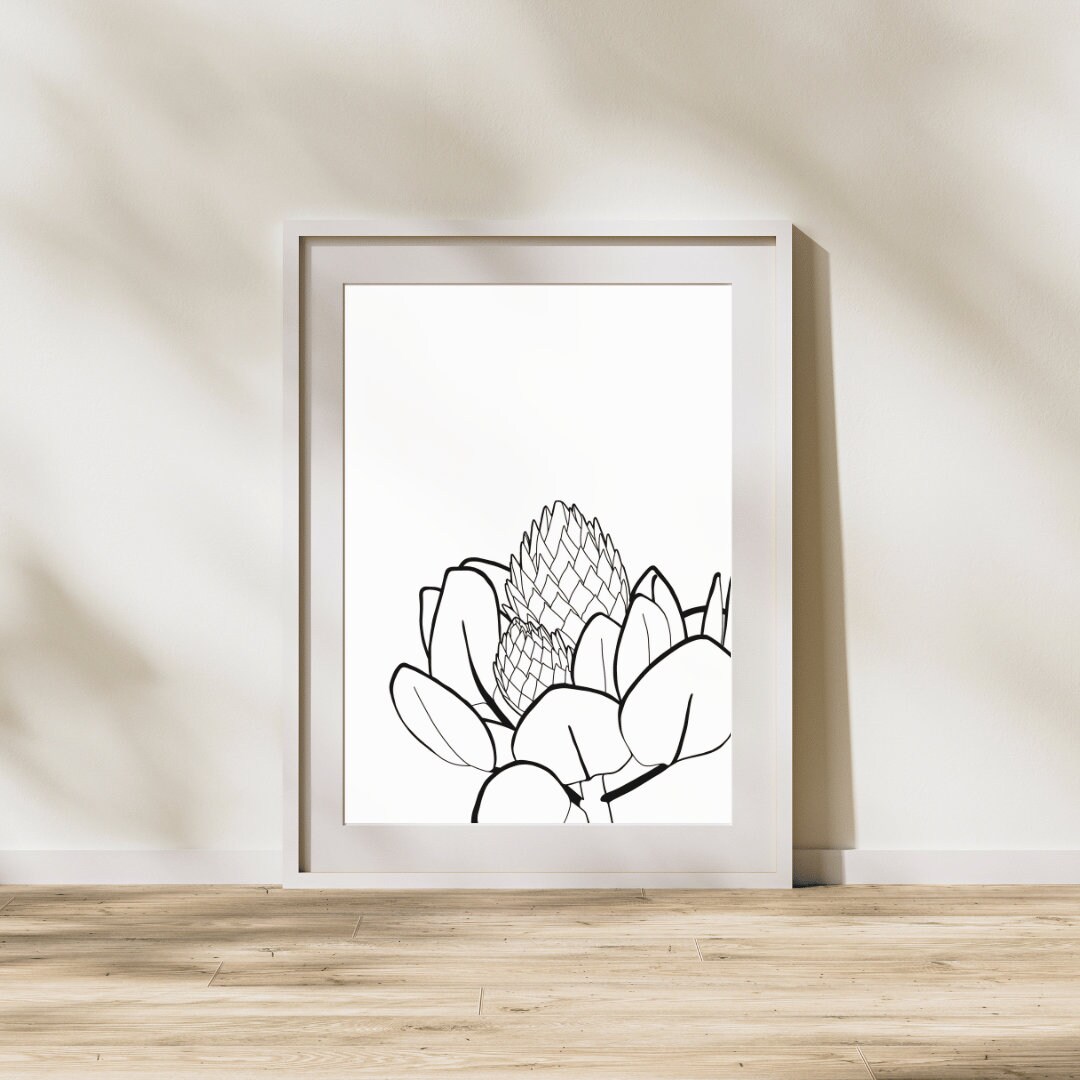 Protea MCSA With Transparent Background Form South Africa. Line Art ...