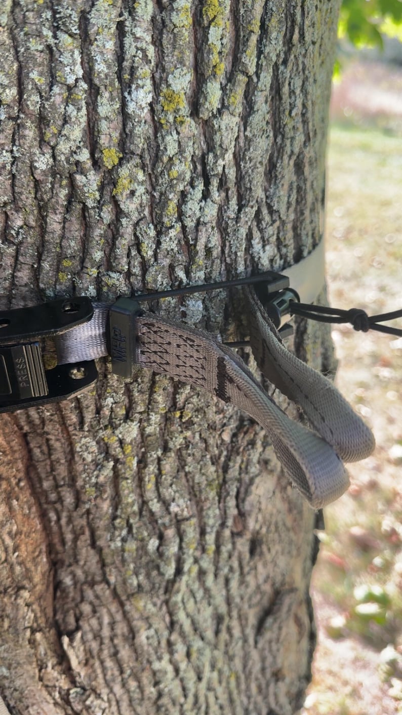 Cam Buckle Hanger System - Etsy