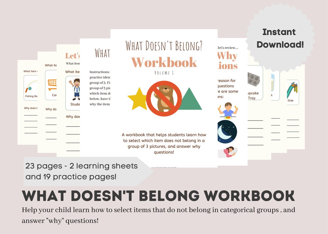 SLP Materials for Speech Therapy Activities WH Questions - Etsy