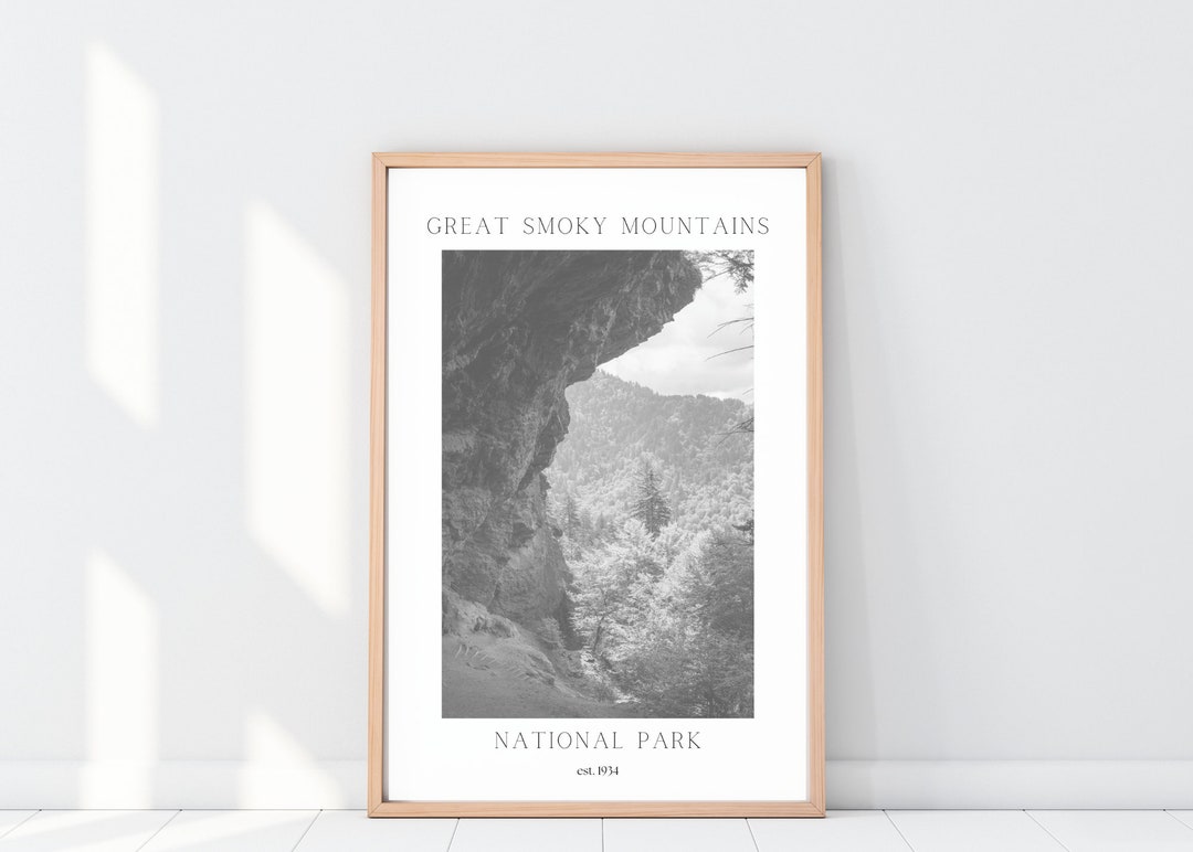 Mount Leconte Alum Cave Trail Black and White Photography Great Smoky ...