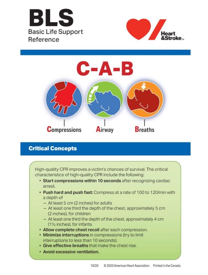 PDF BLS Basic Life Support 2020 Provider Manual - Etsy