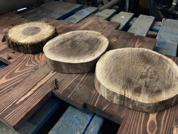 10 Walnut Tree Slices W. Bark Round Walnut Live Edge - Etsy