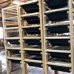 Stumps Space-saving Wooden Rodent Rat Breeding Storage Racks - Etsy