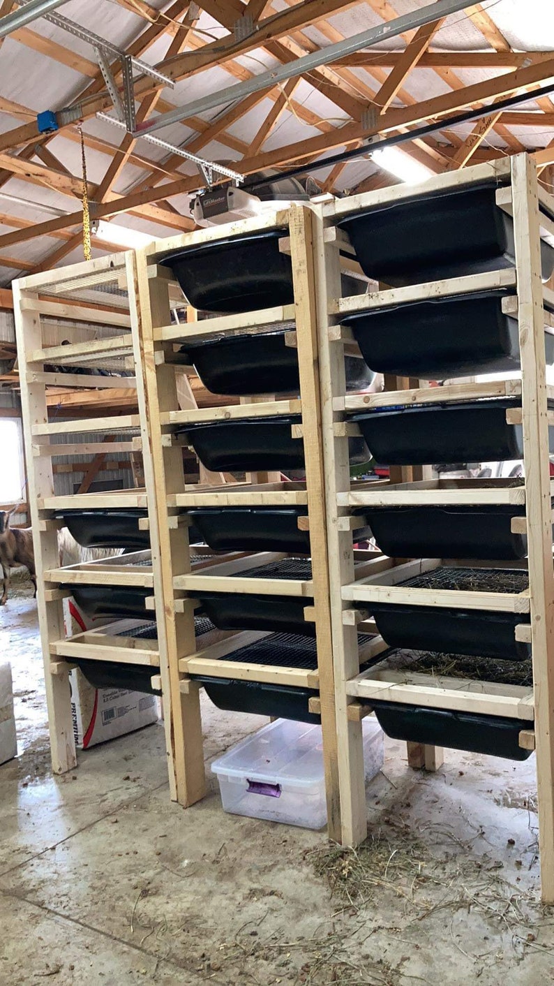 Stumps Space-saving Wooden Rodent Rat Breeding Storage Racks - Etsy