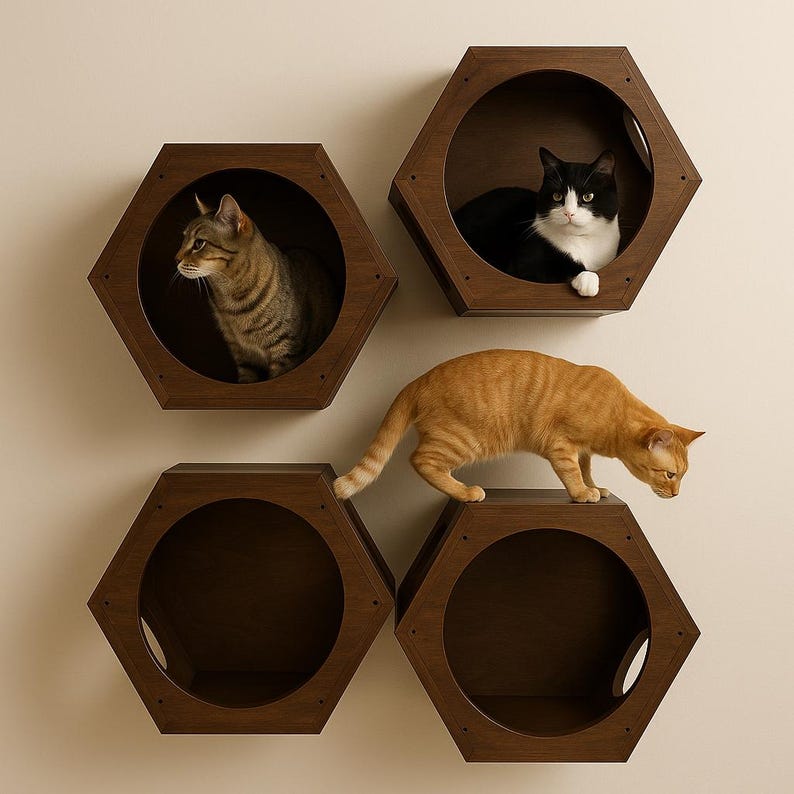 Modern Floating Honeycomb Cat Shelf | Wall Mounted Hut - Etsy